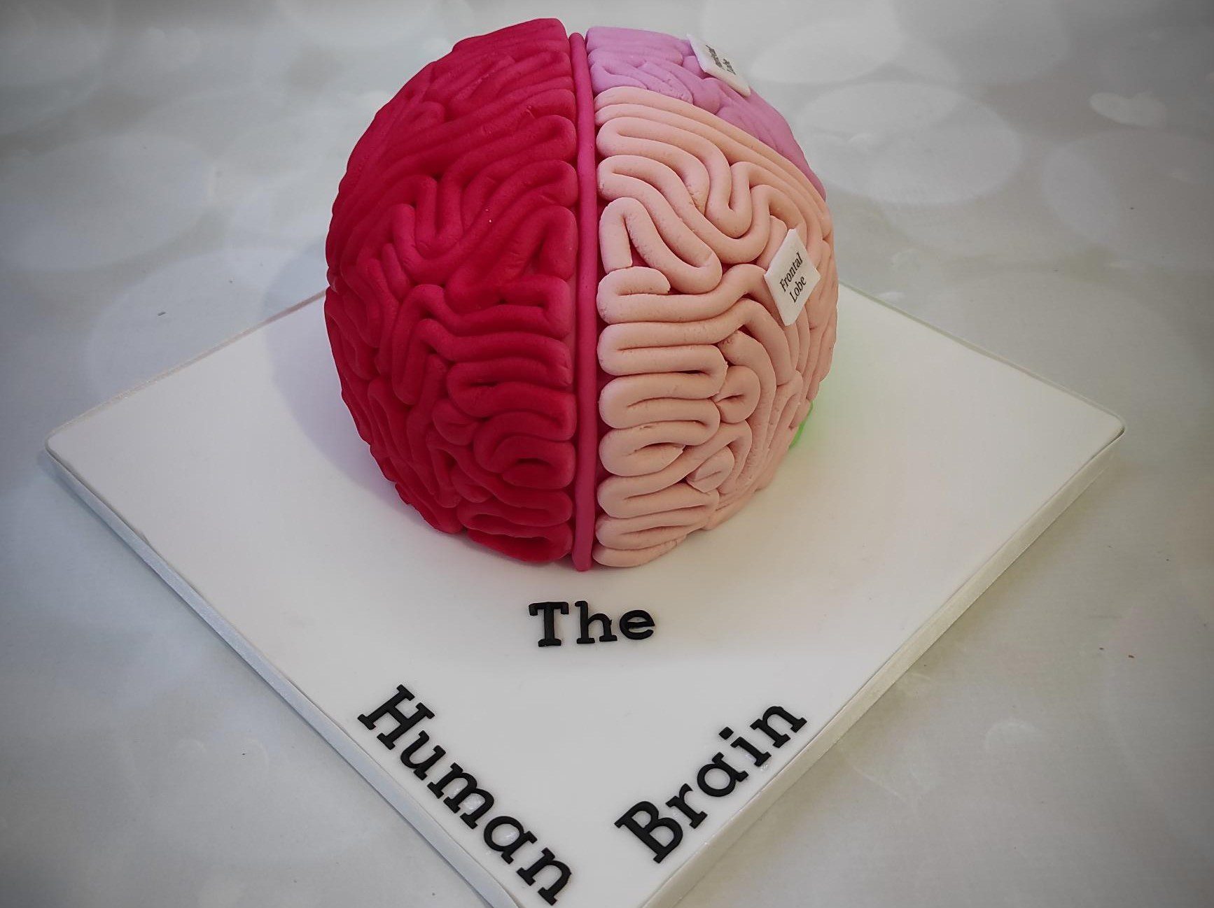 Science in action - via the medium of cake! - The Holgate Academy