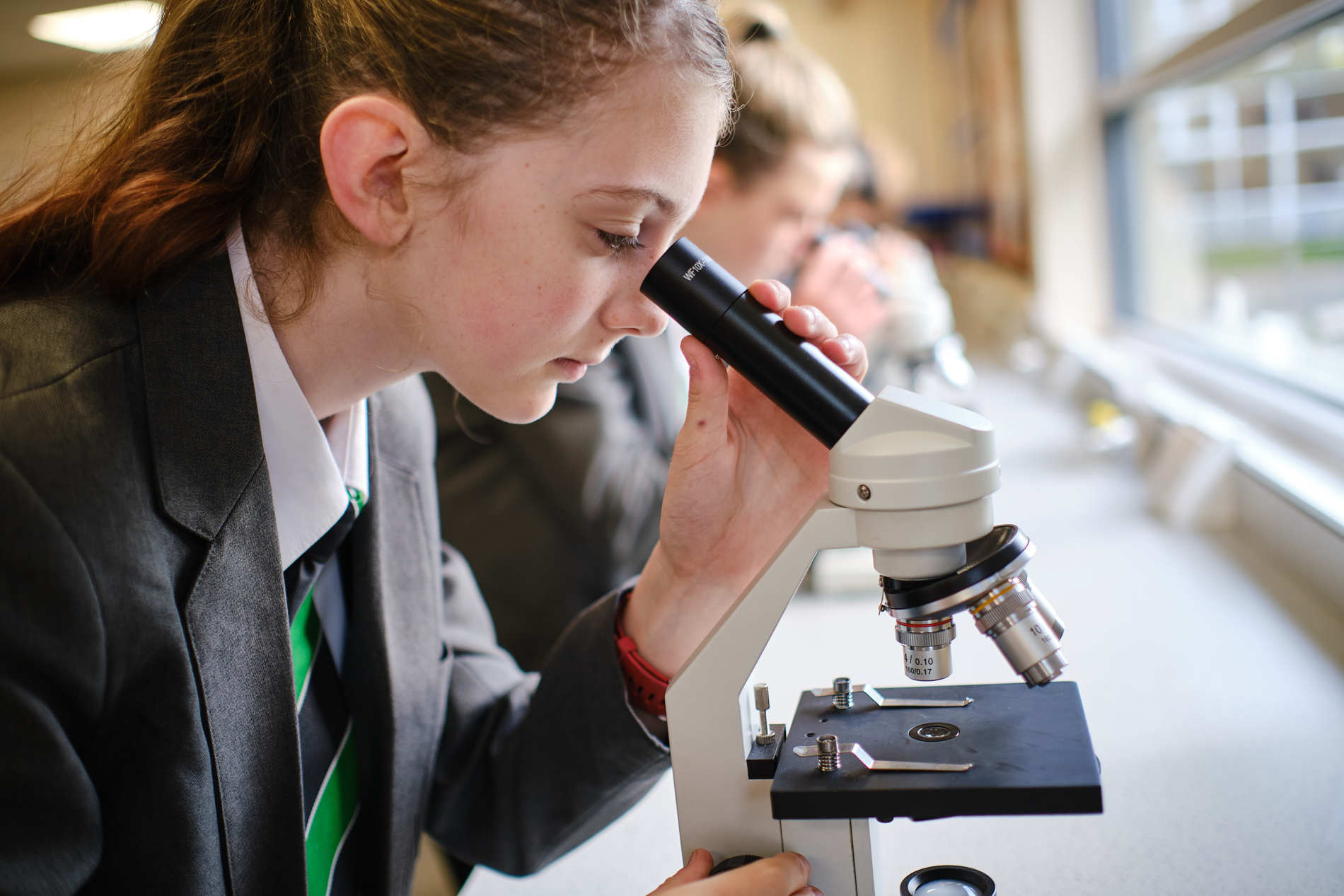 Home - The Holgate Academy